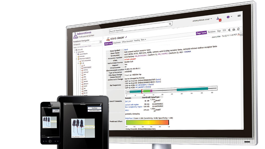 Electronic vs. paper lab notebooks—should you switch? (LabArchives ...