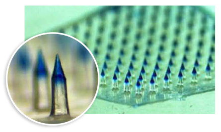 PittCoVacc: Pitt researchers create skin-patch COVID-19 coronavirus ...